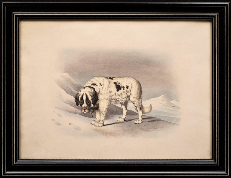 Dog Portrait Lithograph in the Taste of Alfred De Dreux, France circa 1870 For Sale at 1stDibs