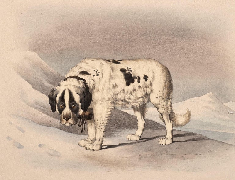 Dog Portrait Lithograph in the Taste of Alfred De Dreux, France circa ...