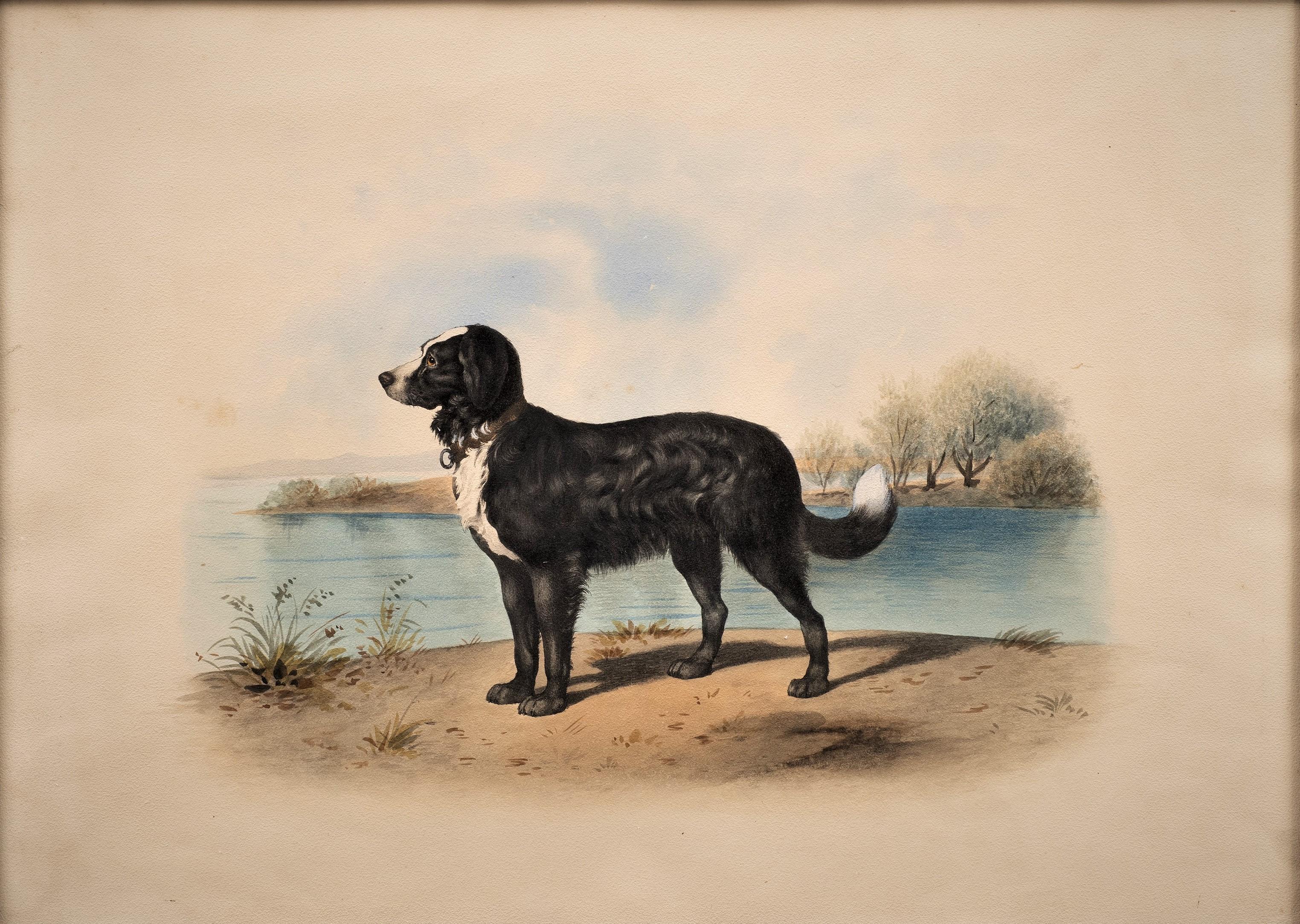 Dog Portrait Lithograph in the Taste of Alfred De Dreux, France circa ...