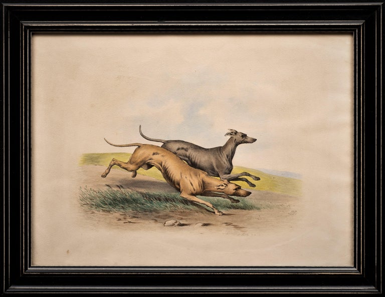 Hundeporträt-Lithographie im Stil von Alfred De Dreux, Frankreich, um 1870 im Angebot bei 1stDibs