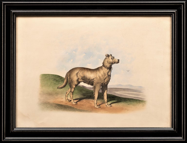 Dog Portrait Lithograph in the Taste of Alfred De Dreux, France circa 1870 D For Sale at 1stDibs