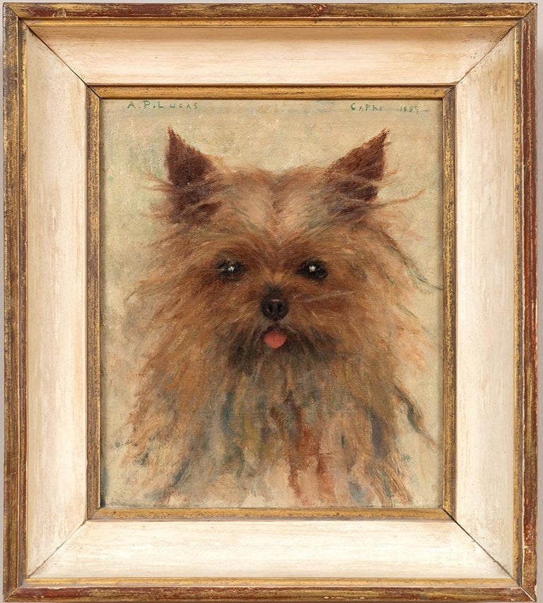 Alfred Lucas - Dog Portrait of a Yorkshire Terrier at 1stDibs