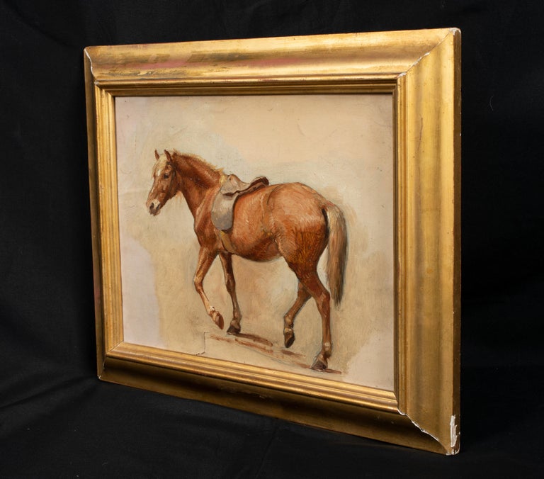 Alfred William Strutt - Portrait Of A Chestnut Horse, 19th Century For ...