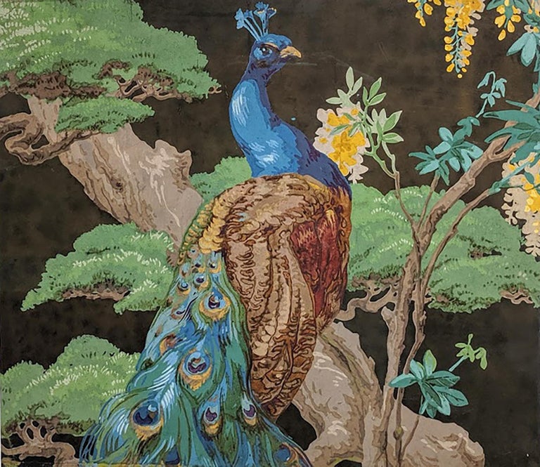 Alice Lolita Muth - Peacock, a mixed-media work on paper by Alice ...