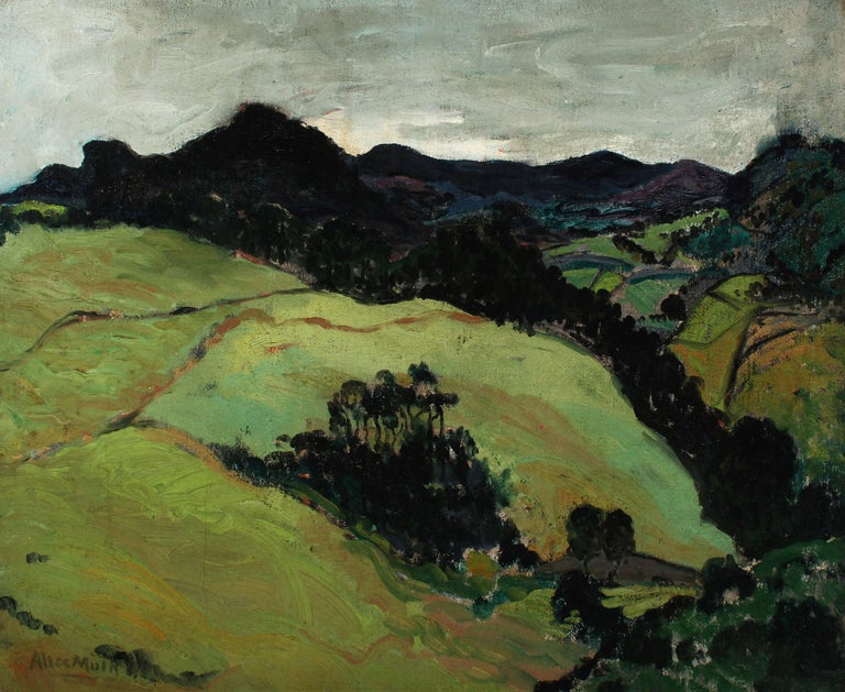 Alice Lolita Muth - Rolling Fields by Alice Lolita Muth (American: 1887 ...