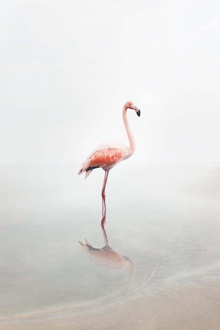 Alice Zilberberg - For Now Flamingo (80" x 53") For Sale at 1stDibs