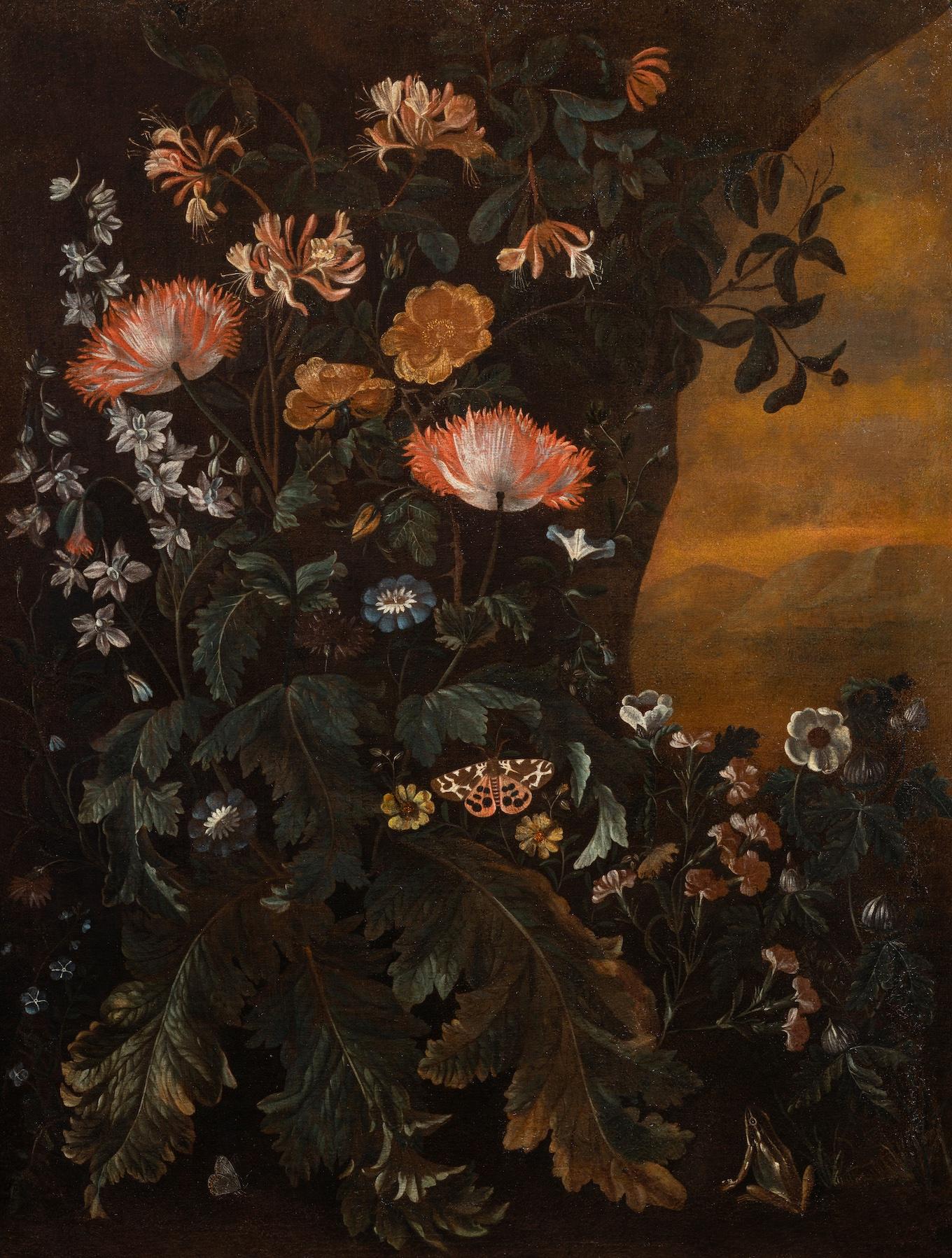 Alida Withoos, Still life with butterflies and frog For Sale at 1stDibs