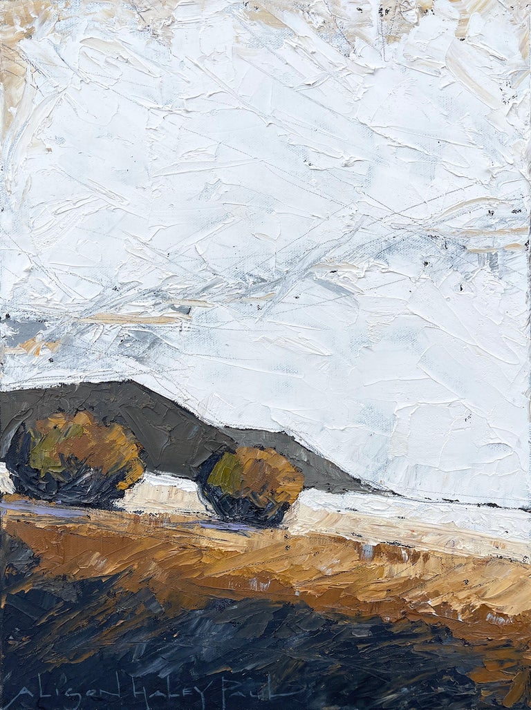 Alison Haley Paul - Cartoline #14 For Sale at 1stDibs