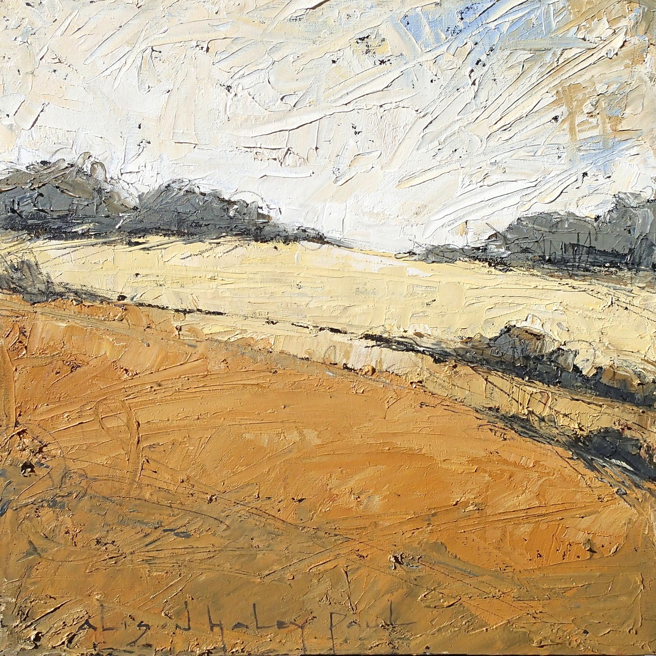 Alison Haley Paul - "Cliffside" Impasto mixed media painting of cliffs ...