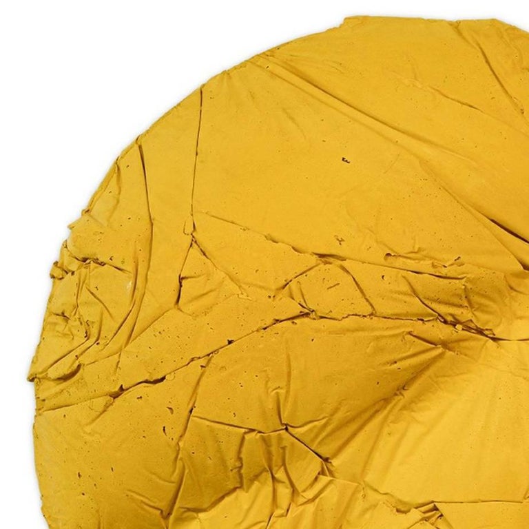 Alison Jardine - Alison Jardine, Urban Flora 19 (alt. Sunshine ...