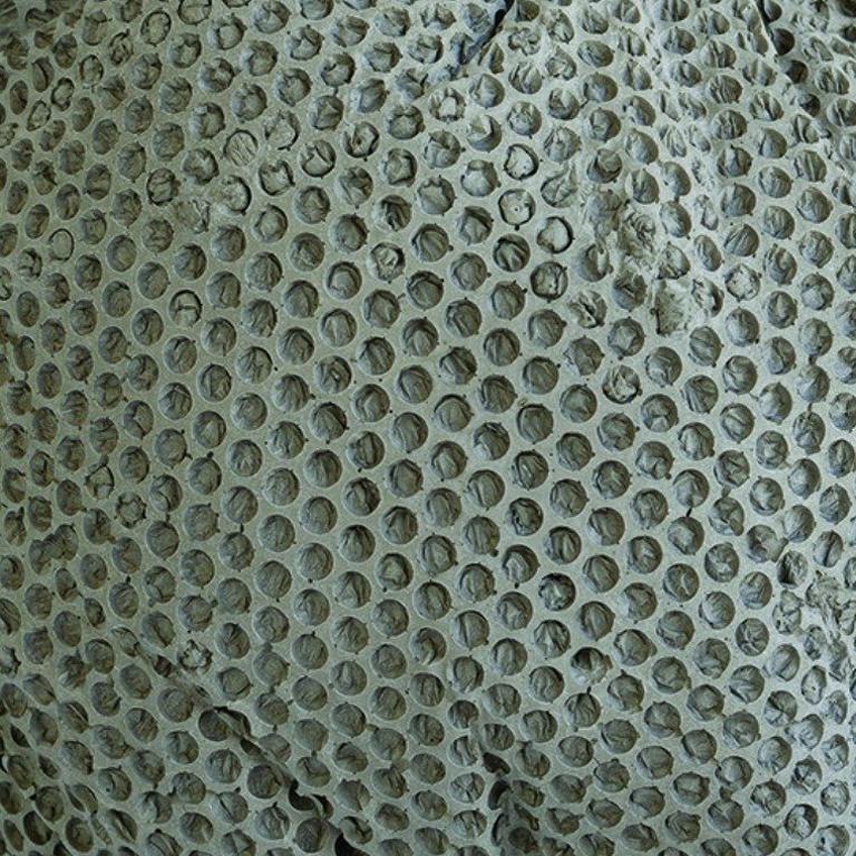 Alison Jardine - Alison Jardine, Urban Flora II, abstract cement ...