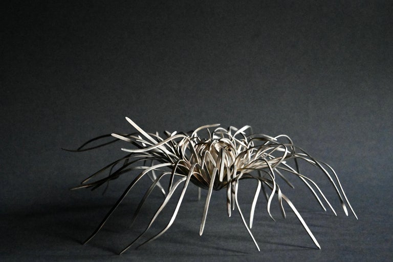 Alison Layton - Chrysanthemum morifoliium v For Sale at 1stDibs