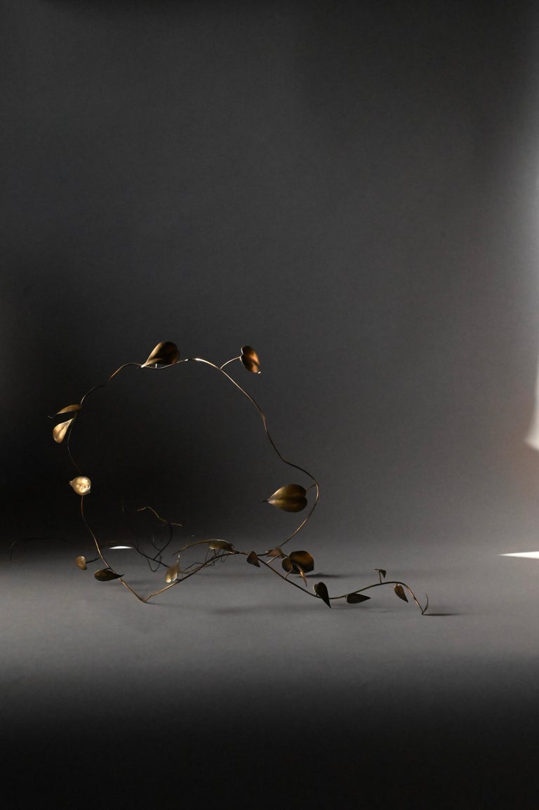 Alison Layton - Micon Vine with Roots i For Sale at 1stDibs