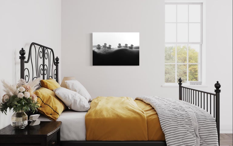 Allan I. Teger - Rubber ducks - black and white photography For Sale at ...
