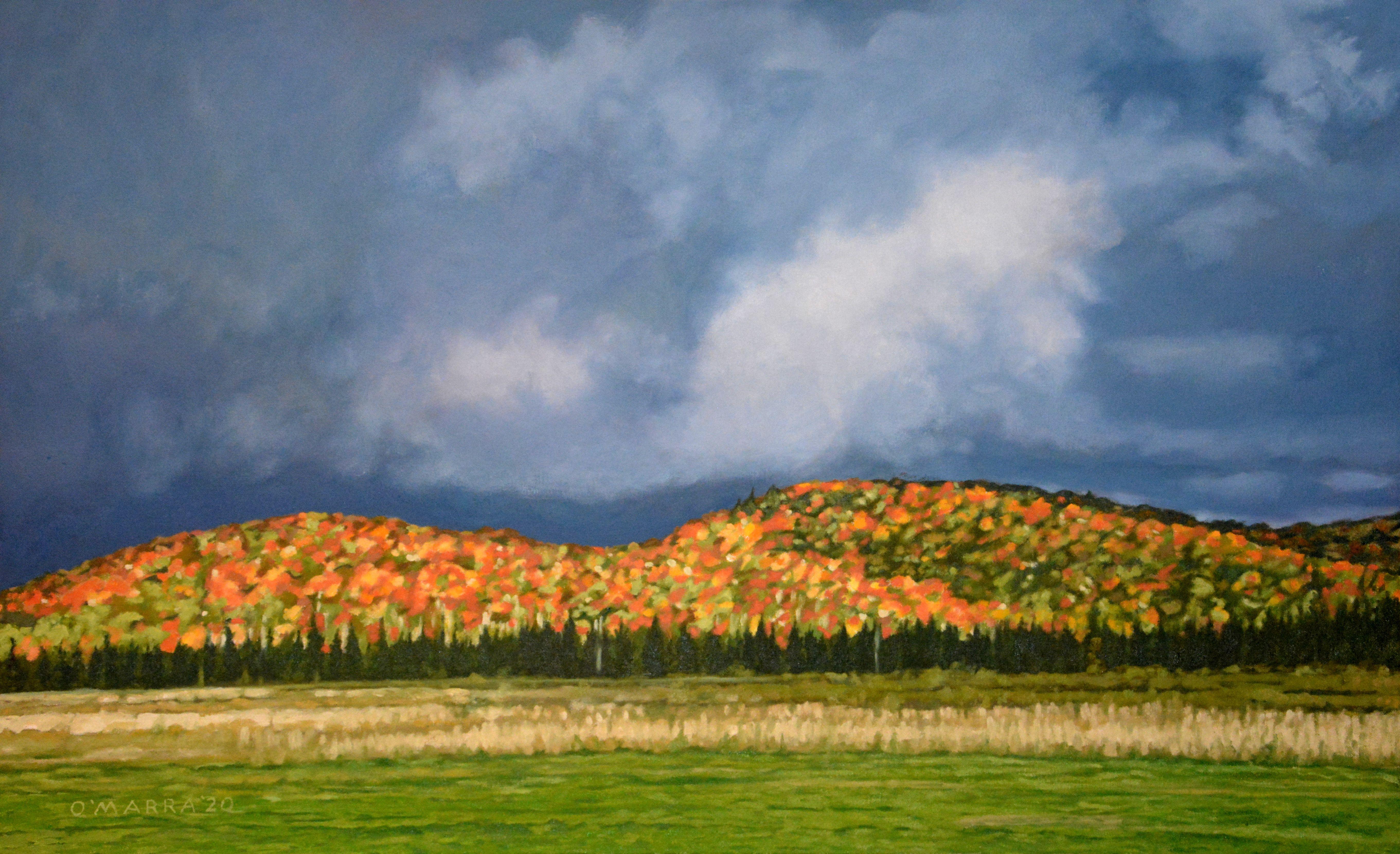 Allan O'Marra - Lakeview Road Trillium, Painting, Oil on Canvas For ...