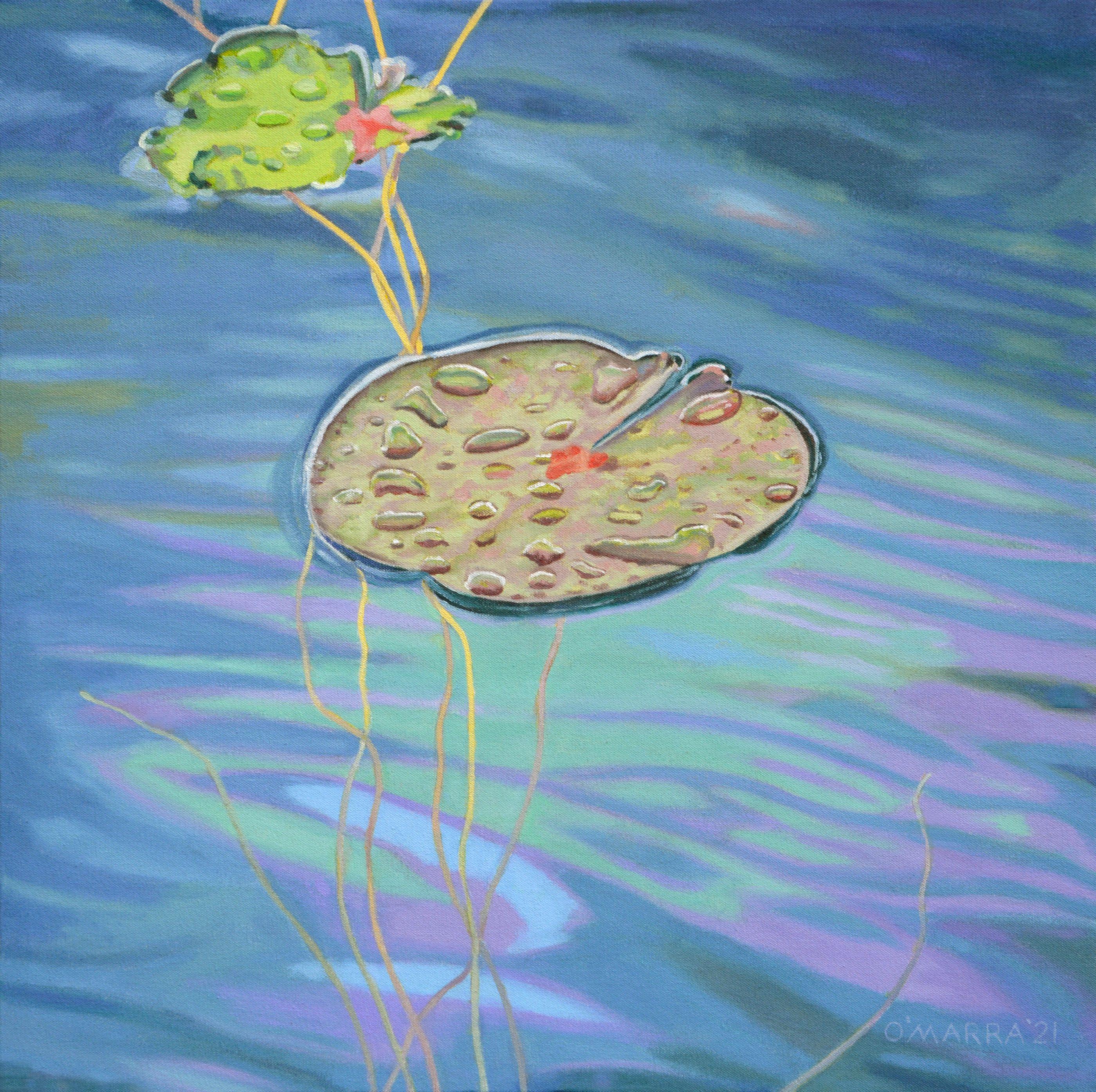 Allan O'Marra - Lily Pad Still Life, Painting, Oil on Canvas For Sale ...
