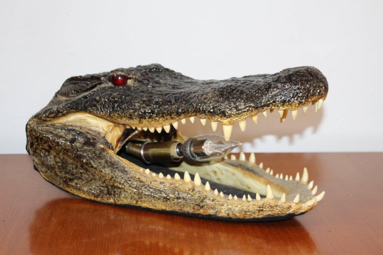 Alligator Head Table Lamp For Sale at 1stDibs