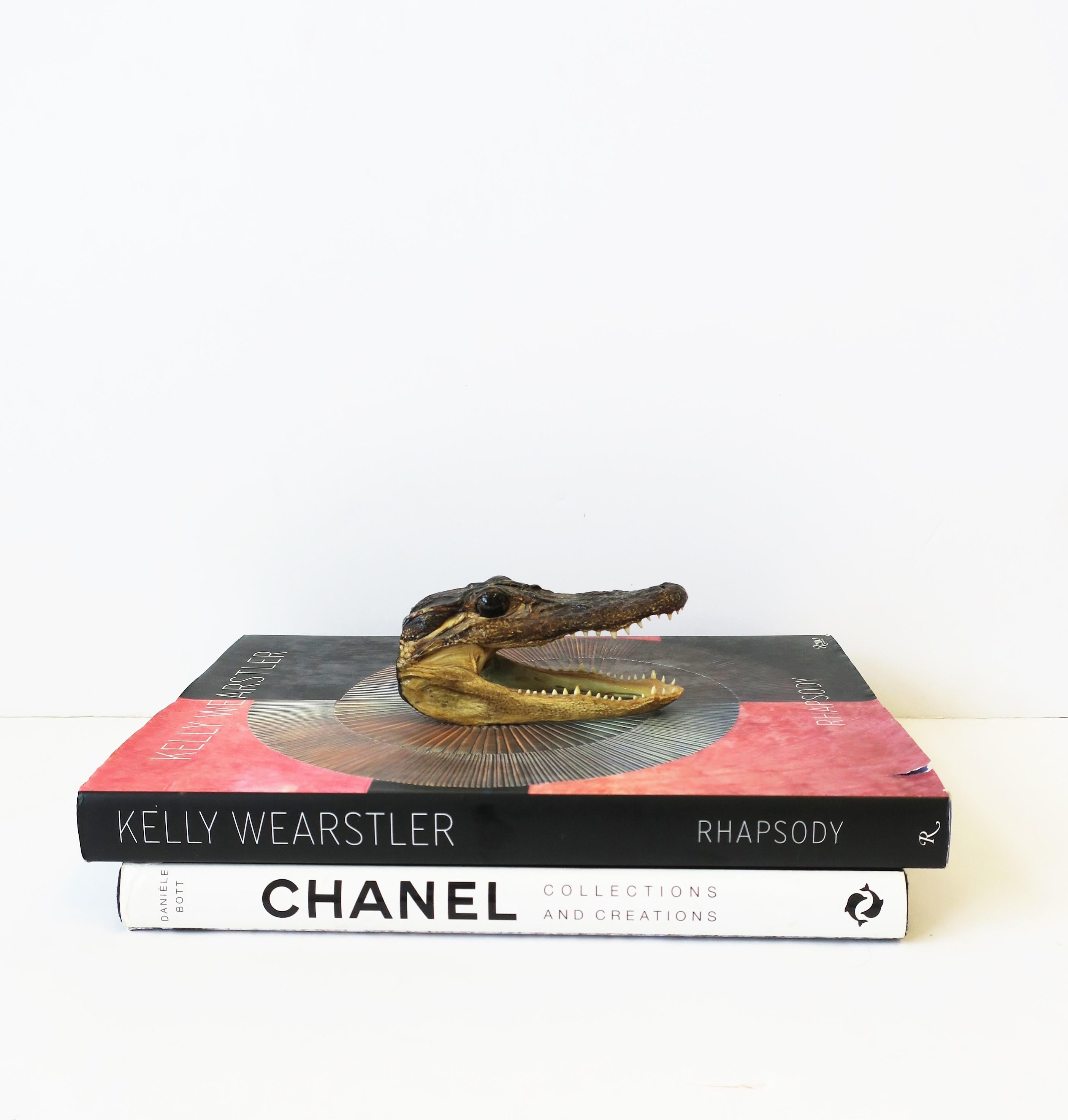 Taxidermy Alligator Reptile Decorative Object Sculpture For Sale at ...