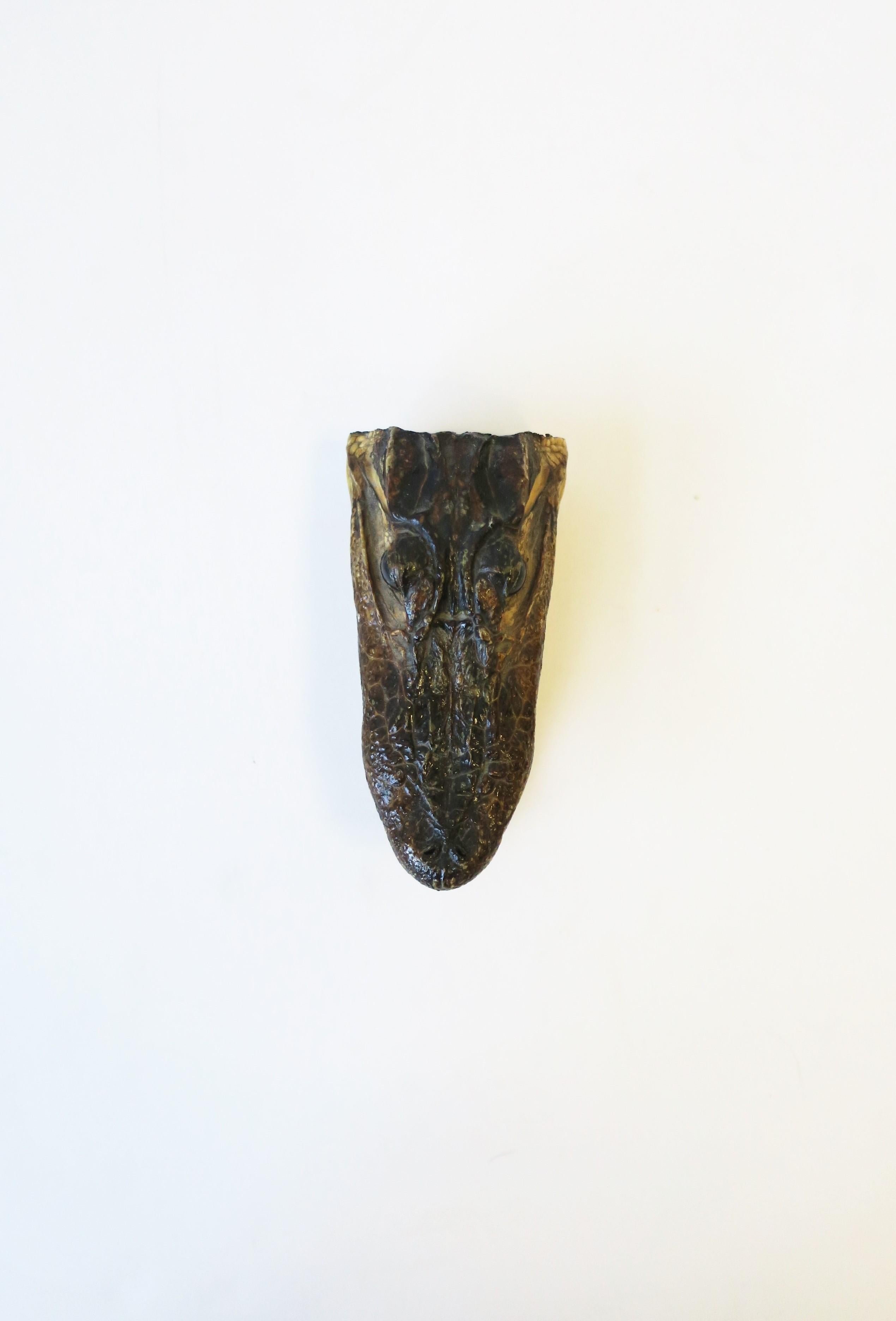 Taxidermy Alligator Reptile Decorative Object Sculpture For Sale at ...