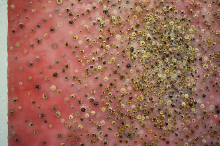 Allyson Levy - Poppy Pods in Red (Abstract Encaustic Painting on Panel ...