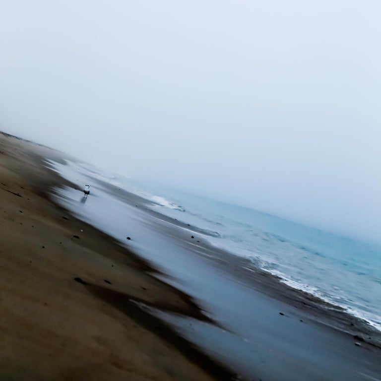 Allyson Monson - Morning Lookout, 2015, Fine Art Photography, Framed in ...