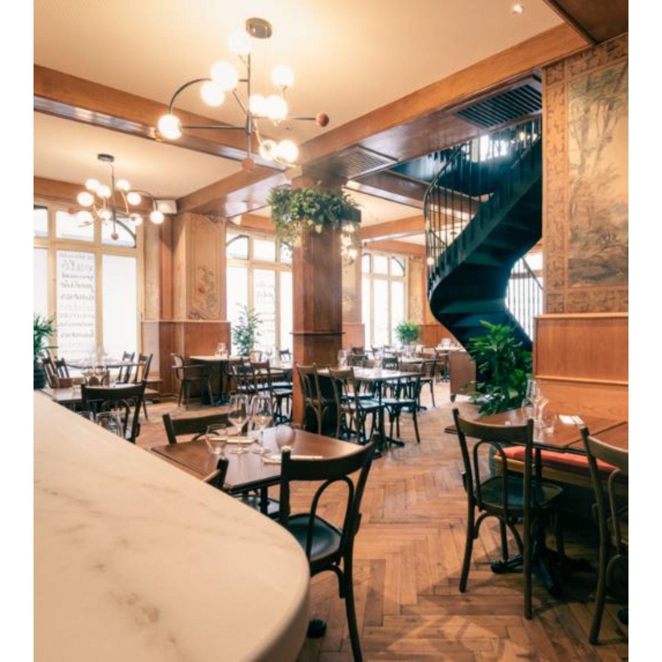 Aloe Helio Suspension Lamp by Dooq For Sale at 1stDibs