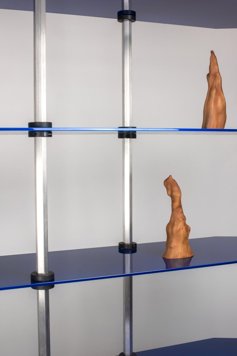 Modular Shelving in Metallic Blue Glaze by Birnam Wood Studio For Sale ...