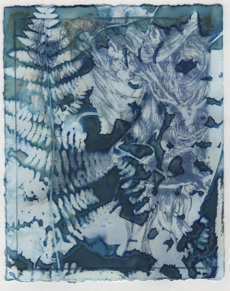 Amanda Besl - A Set of 6 Contemporary Cyanotypes in Mirrored Frames ...