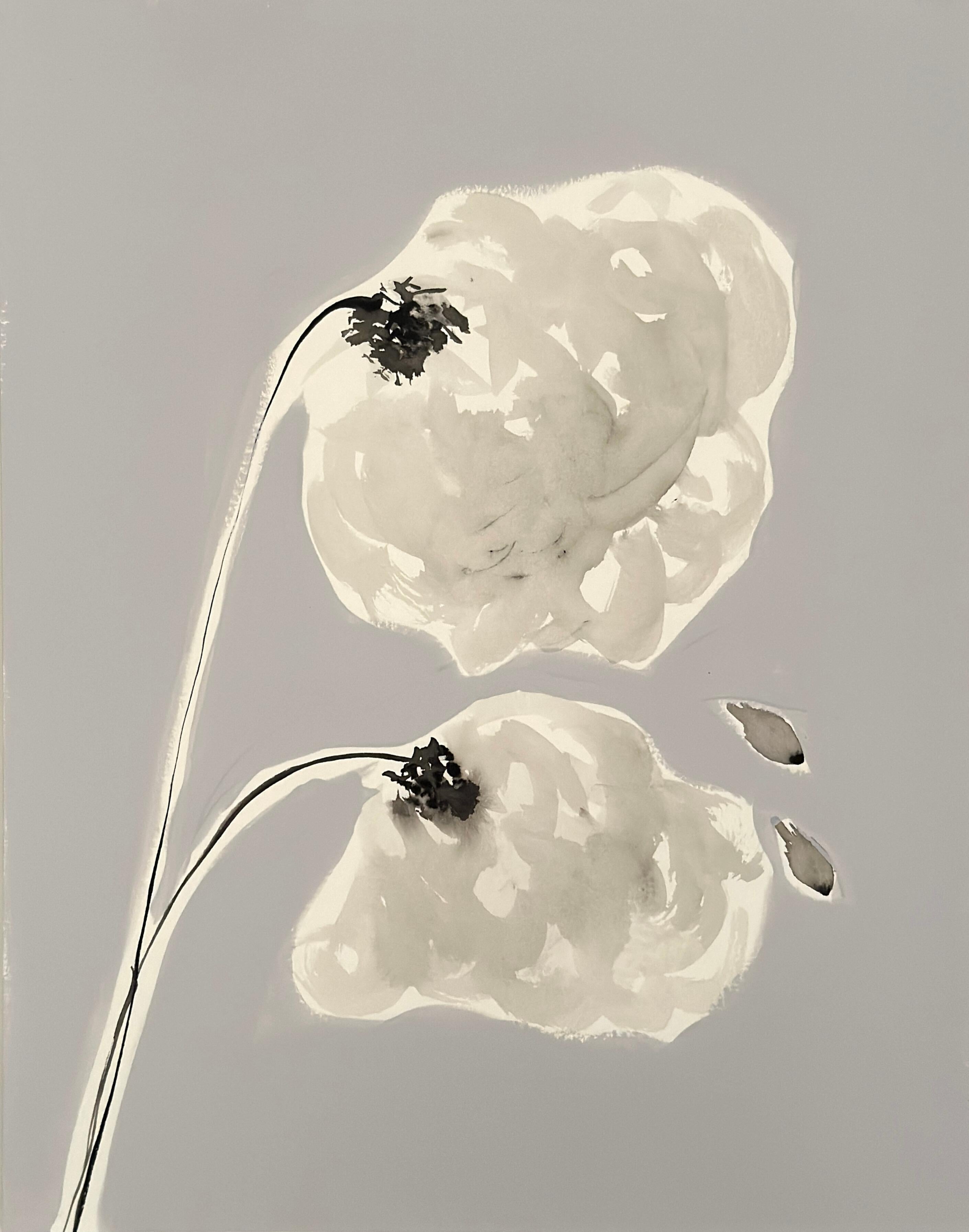 Amanda Carol Collection - Gray Lavender Peony 11" x 14" Work on Paper ...