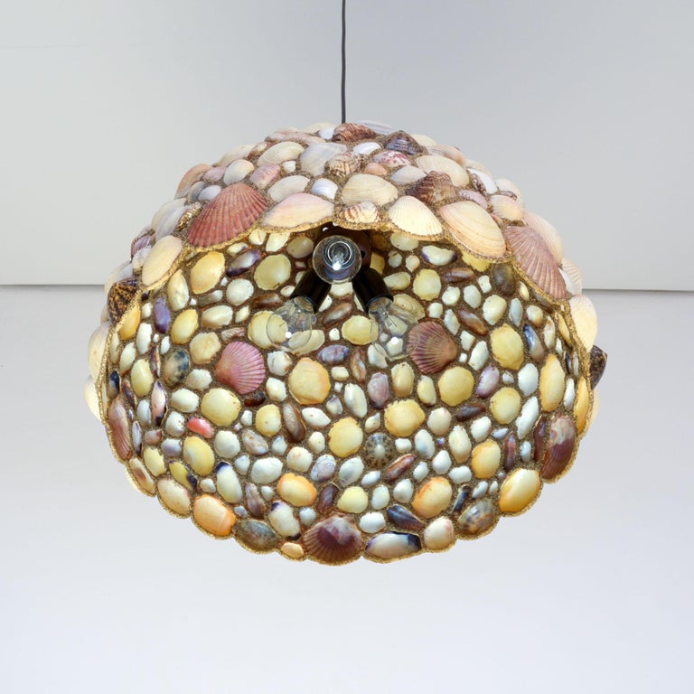 Amazing Dome Seashell Chandelier at 1stDibs