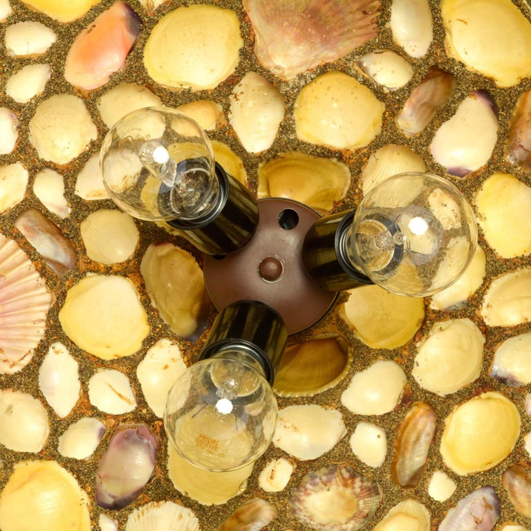 Amazing Dome Seashell Chandelier at 1stDibs