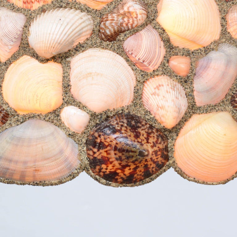 Amazing Dome Seashell Chandelier at 1stDibs