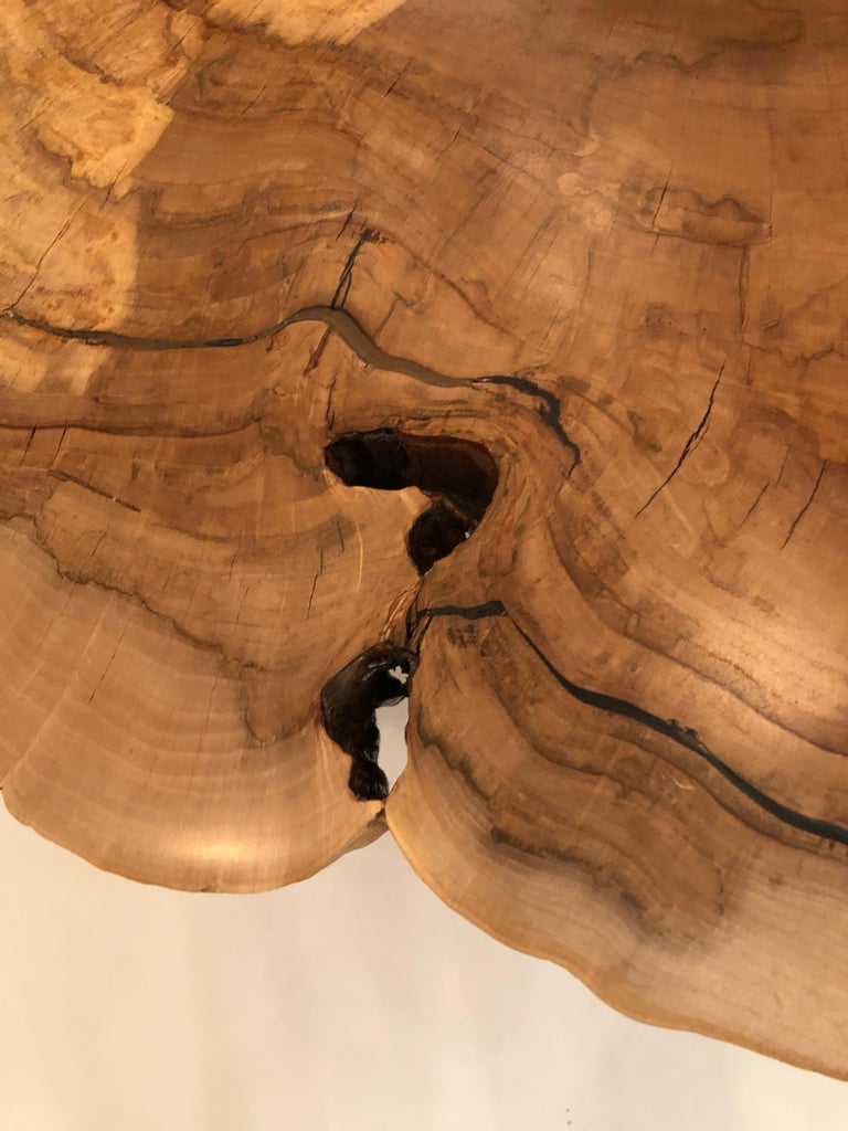 Amazing Organic Modern Irregular Edge Maple Coffee Table For Sale at ...