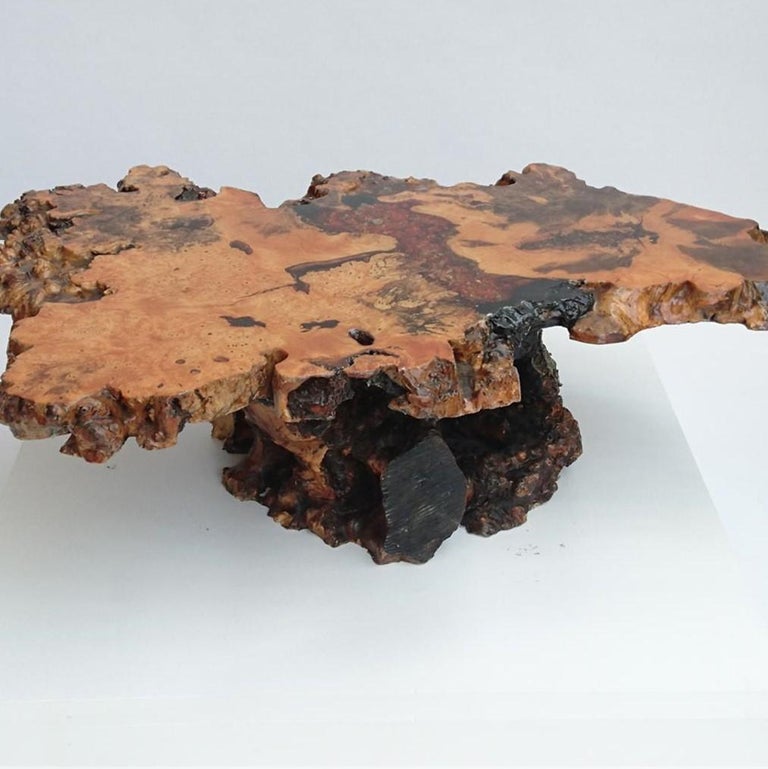 Amber Root Coffee Table at 1stDibs