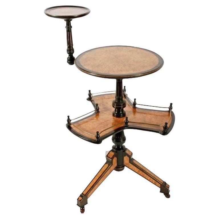 Amboyna and Ebonised Book Stand, 19th Century For Sale at 1stDibs