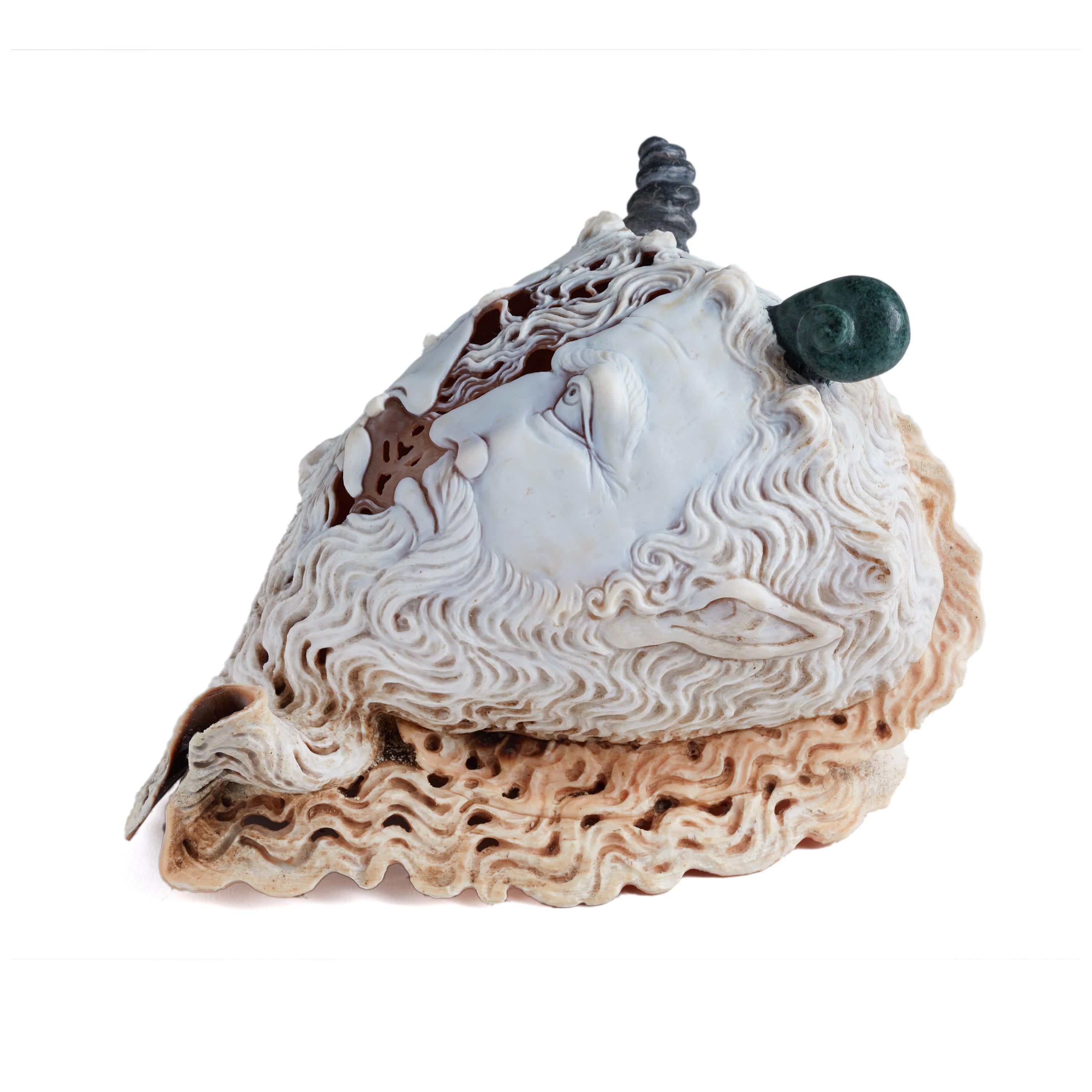 Amedeo One of a Kind "Mythology" Conch Shell For Sale at 1stDibs ...