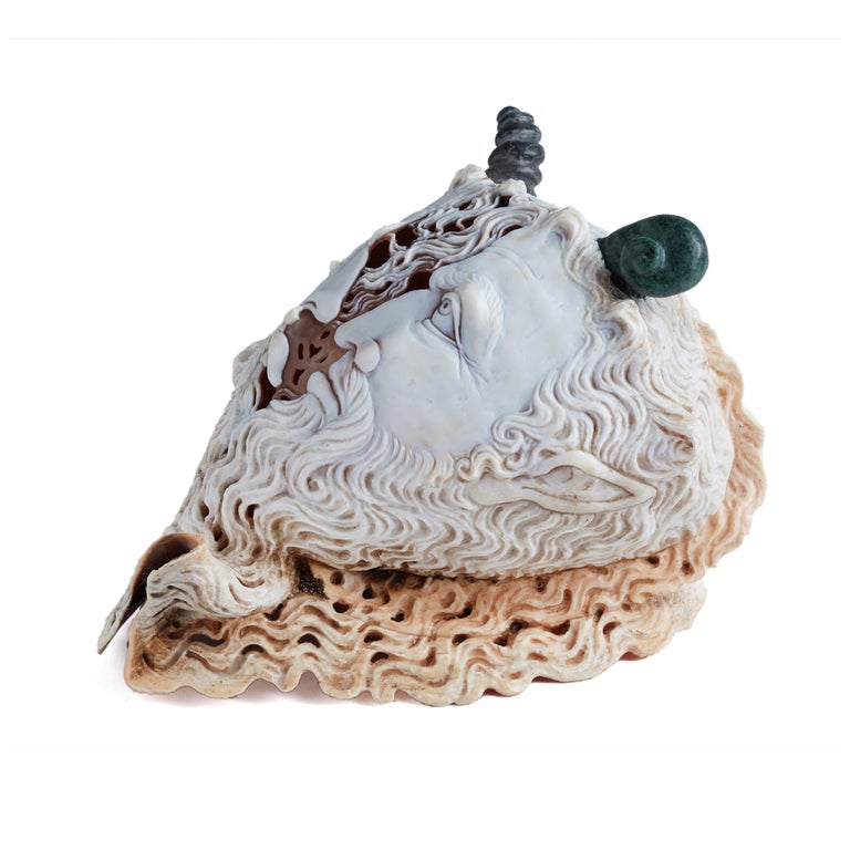 Amedeo One of a Kind "Mythology" Conch Shell For Sale at 1stDibs