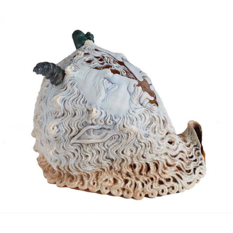 Amedeo One of a Kind "Mythology" Conch Shell For Sale at 1stDibs