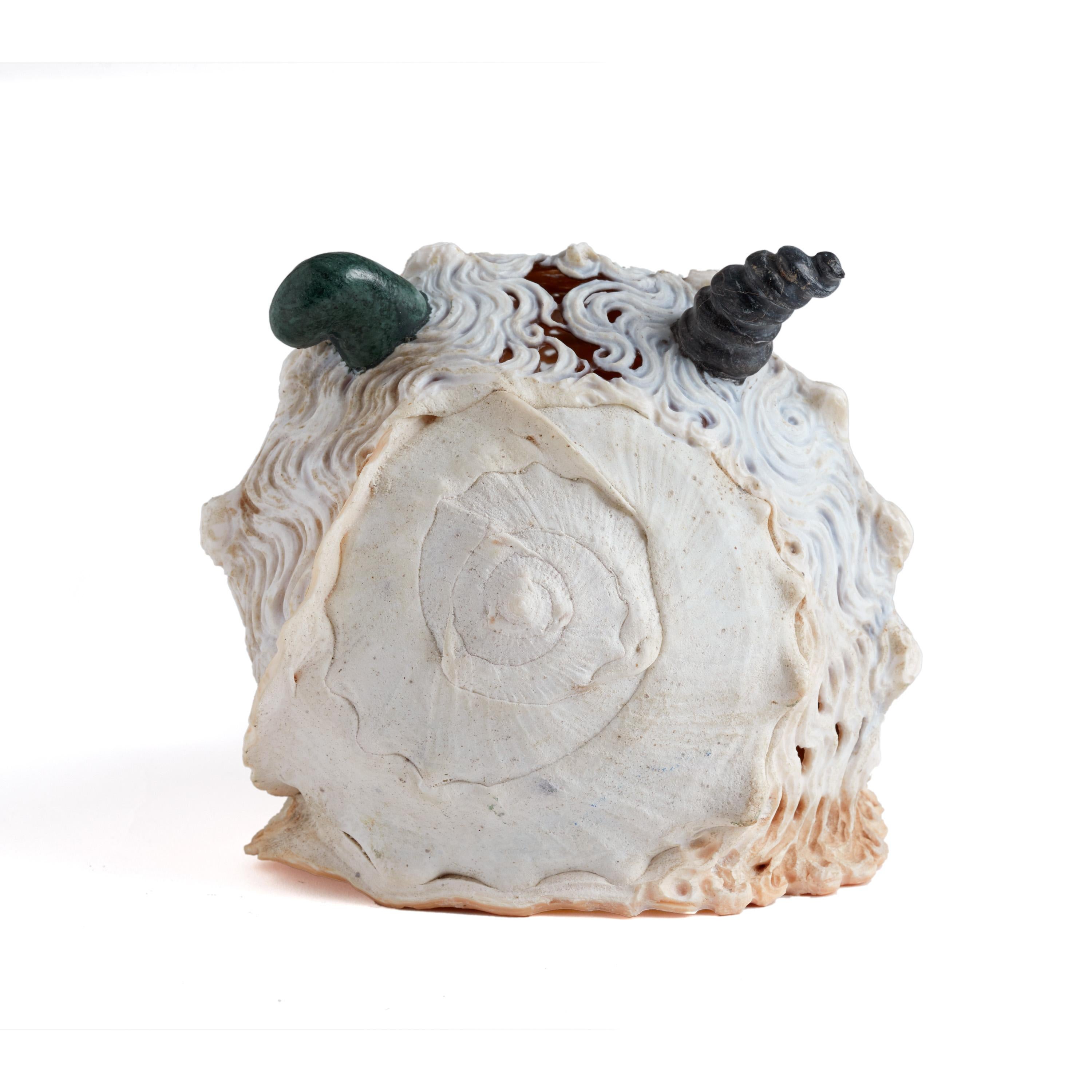 Amedeo One of a Kind "Mythology" Conch Shell For Sale at 1stDibs ...