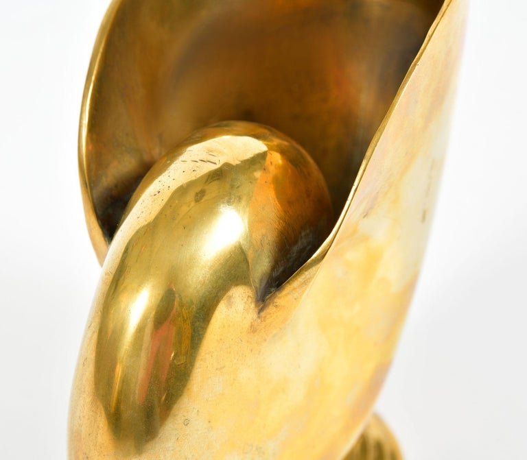 American 1950s Brass Shell Nautilus at 1stDibs