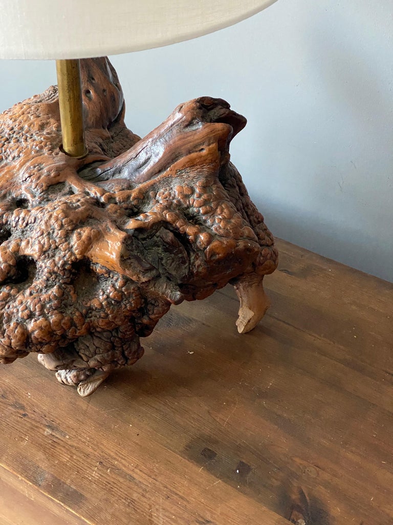 American Craft, Large Organic Table Lamp, Burl Wood, Brass Fabric ...