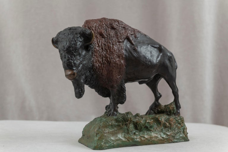 American Polychrome Bronze Bison, Artist Signed, Dated 1914 For Sale at ...
