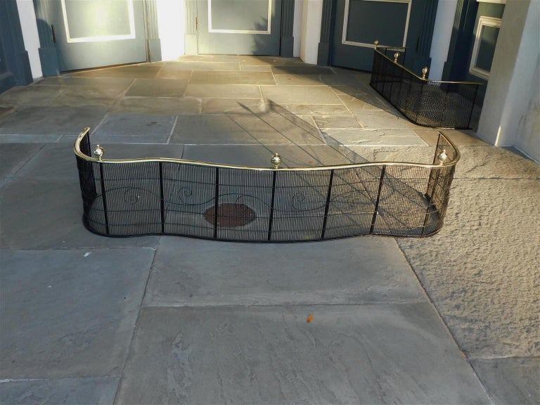 American Serpentine Brass and Artistic Wire Work Ball Finial Fire ...