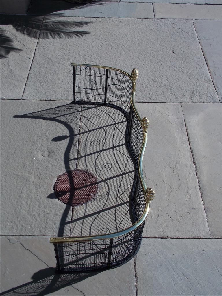 American Serpentine Brass Finial and Artistic Wire Work Fire Fender ...