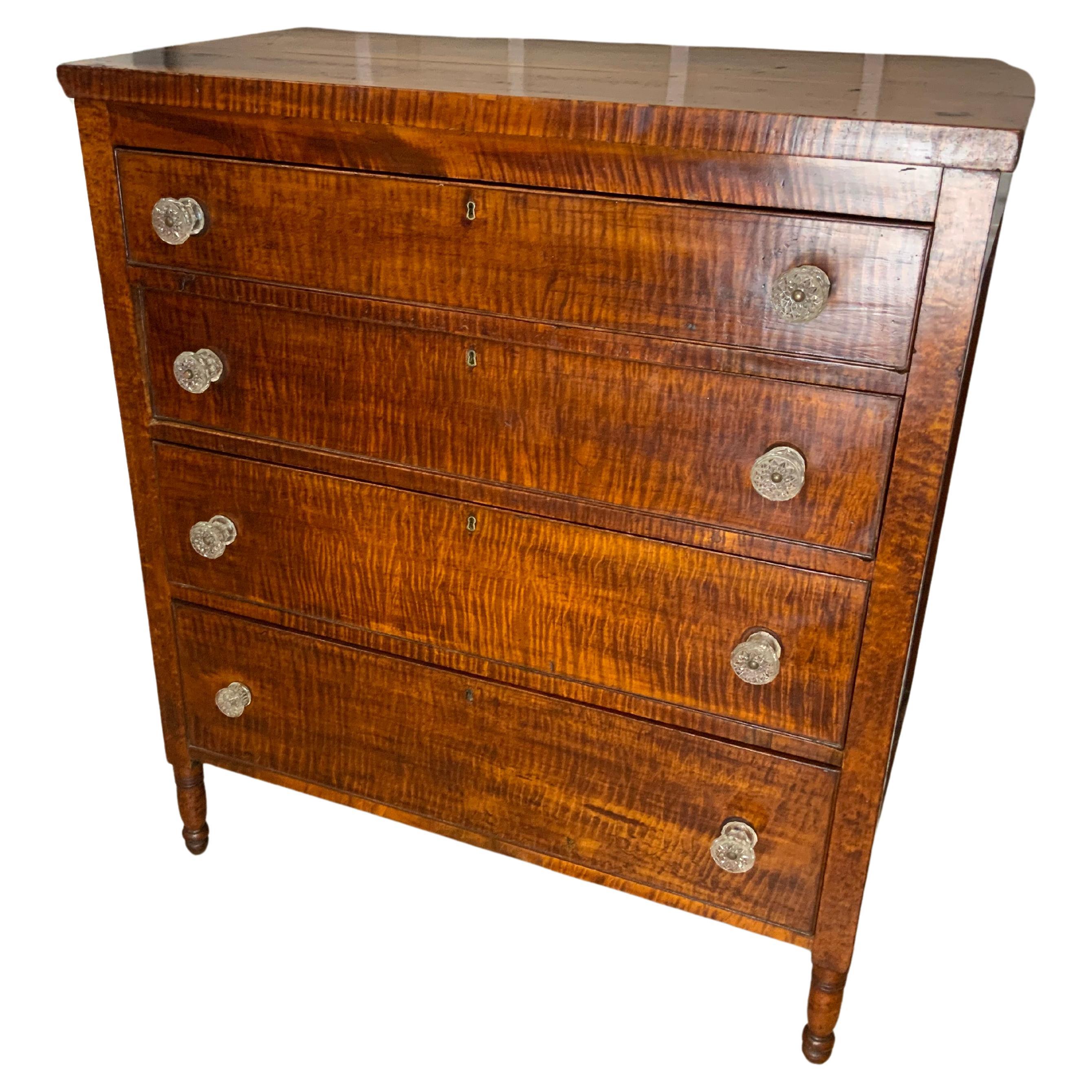 American Sheraton Curly Maple Chest For Sale at 1stDibs