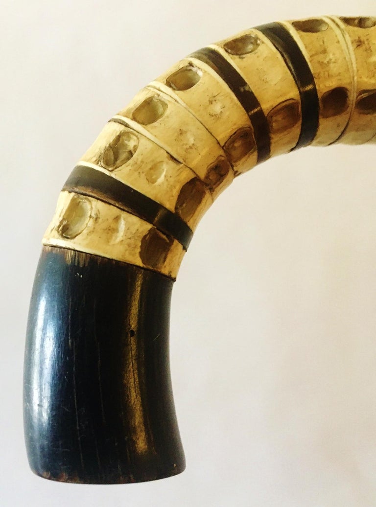 American Victorian Shark Vertebrae, Horn and Baleen Nautical Walking ...