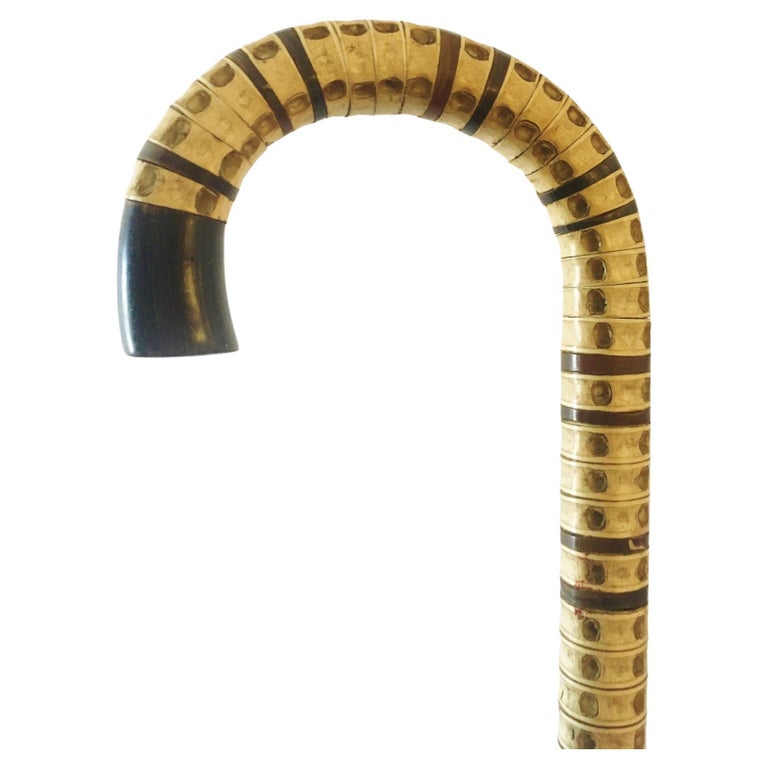 American Victorian Shark Vertebrae, Horn and Baleen Nautical Walking ...