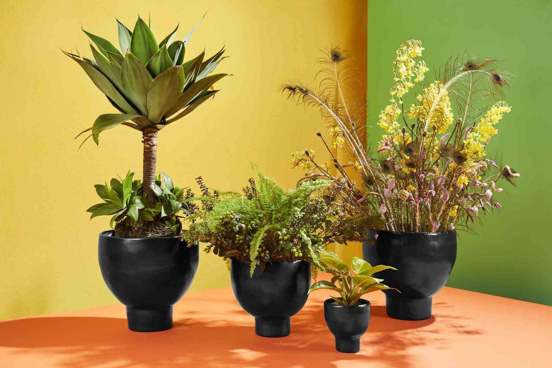 Ames Barro Black Small Ceramic Pot 1 by Sebastian Herkner in STOCK For ...