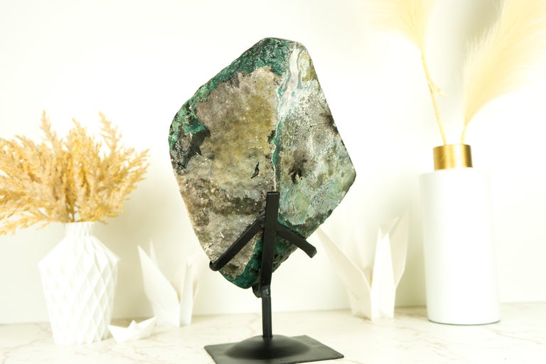 Amethyst Cluster with AAA Deep Purple Grape Amethyst Druzy and Rare ...