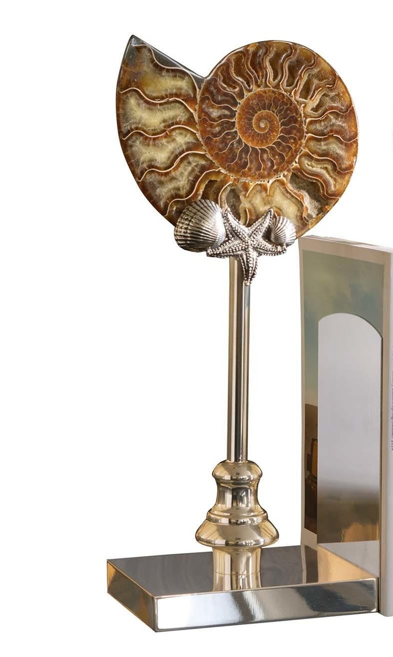 Ammonite Bookends For Sale at 1stDibs